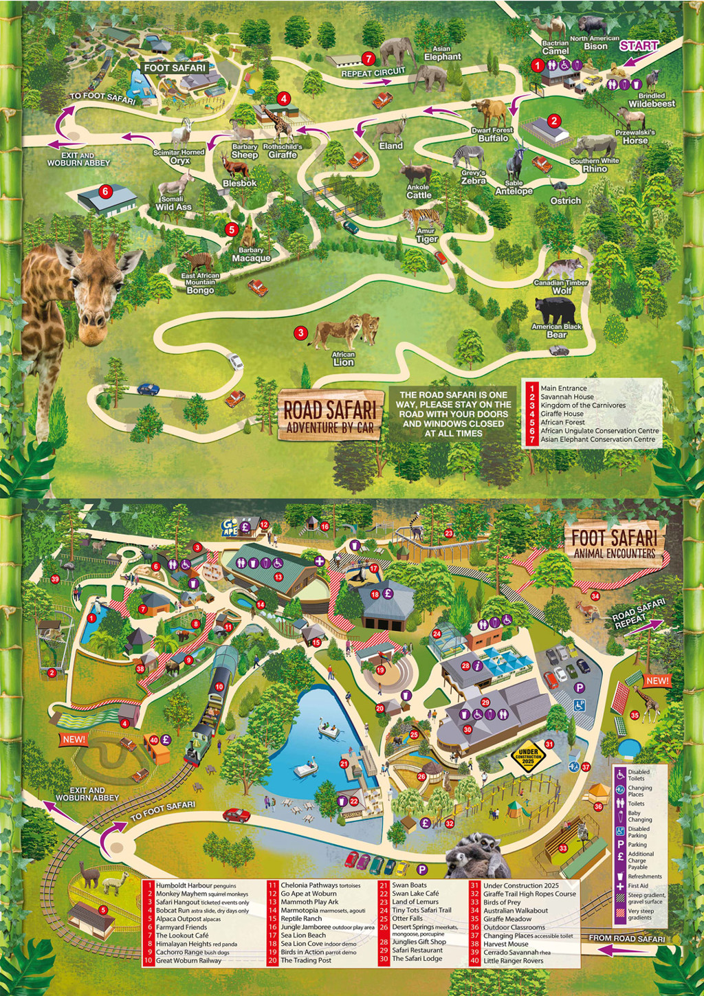 Safari Maps | Woburn Safari Park